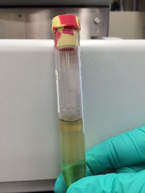 Welcome to the CCHMC Laboratory Test Directory | Tests