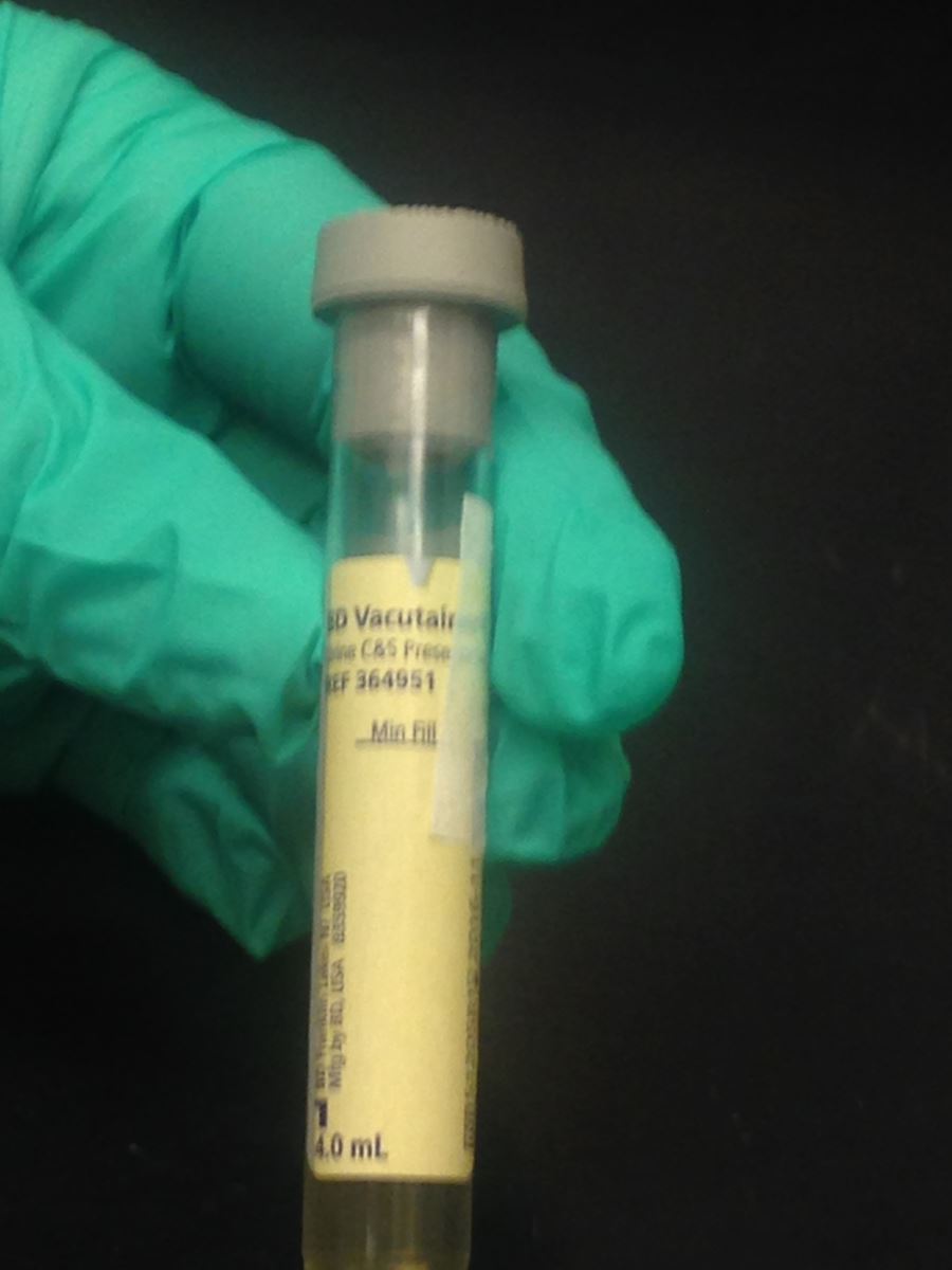 Welcome to the CCHMC Laboratory Test Directory | Tests