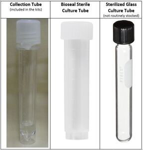 M Health Fairview Laboratory Test Directory | Tests