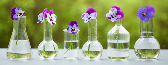 MHS Laboratory Test Directory | Home