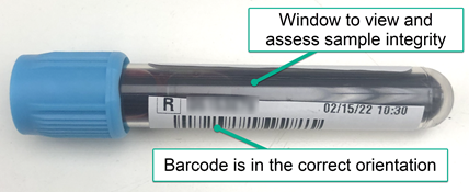 UC San Diego Health Online Test Menu | Tests