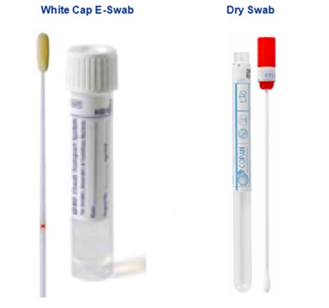 BayCare Laboratory Test Directory | Tests