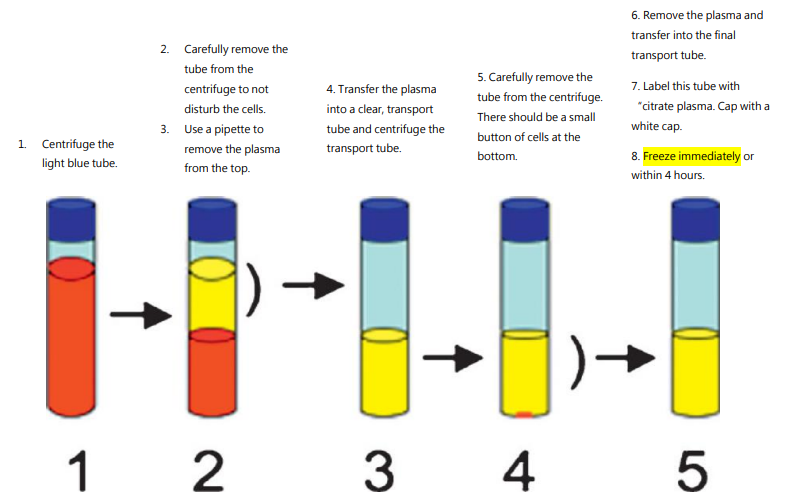 Norton CPA Lab Test Directory | Tests