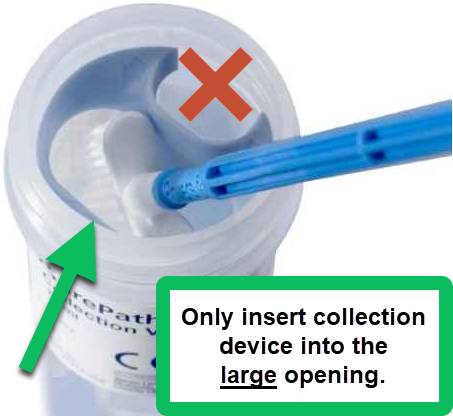 M Health Fairview Laboratory Test Directory | Tests