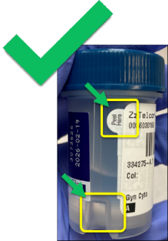 M Health Fairview Laboratory Test Directory | Tests