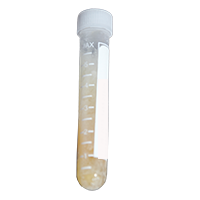 IU Health Lab Test Directory | Tests