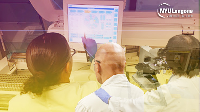 NYU Langone Health Clinical Laboratories Test Directory | Home