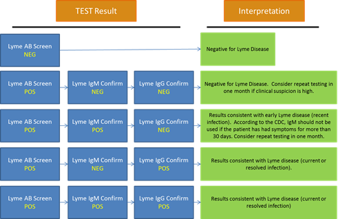 Rochester Test Directory | Tests