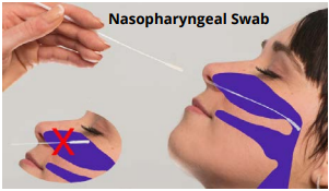 Sarah Bush Lincoln Laboratory Test Directory | Tests
